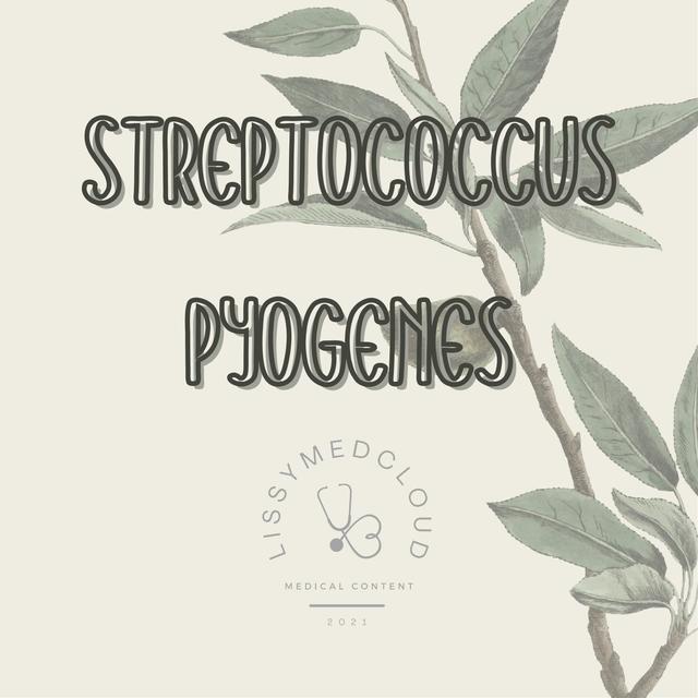 Resúmenes de Streptococcus pyogenes | Descarga apuntes de Streptococcus ...