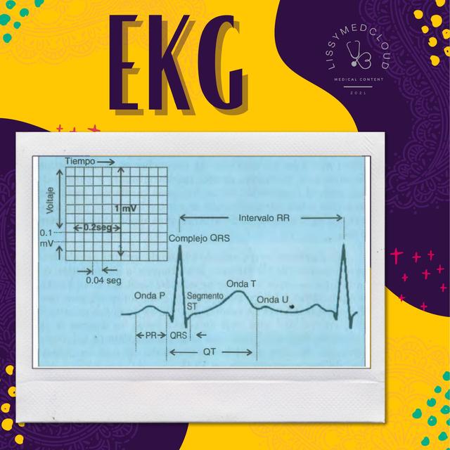 EKG explicado | Médical noteees | uDocz