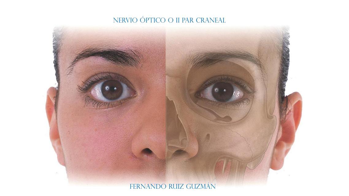 Nervio Óptico | fernando ruiz | uDocz