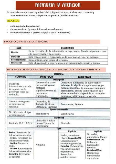 Memoria y atención | Anamyle Tamara | uDocz