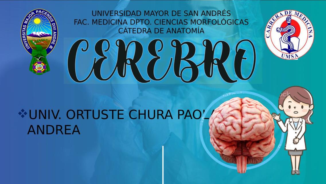 Cerebro | PAOLA ANDREA | uDocz