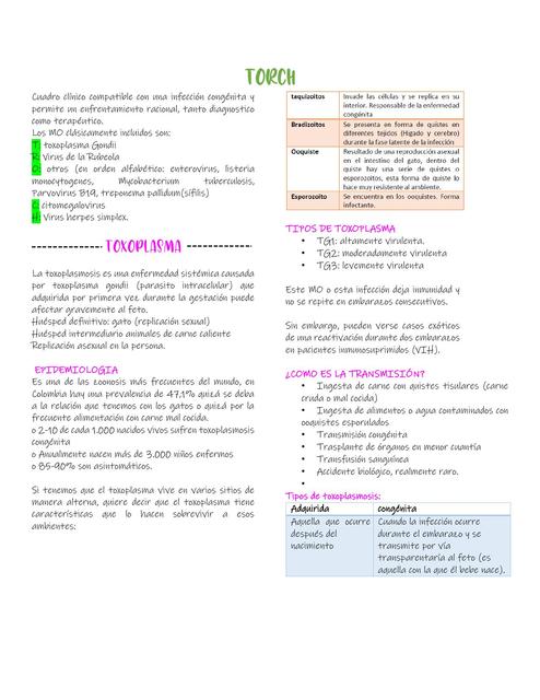 TORCH | Alexa Carabali | uDocz