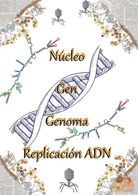 Gen Núcleo Genoma Replicación ADN | @am3thystt_ | uDocz