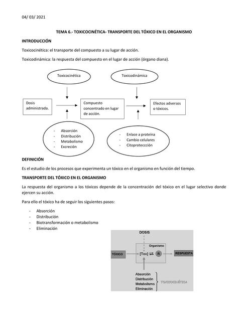 Toxicocinética | Diana Loza | uDocz