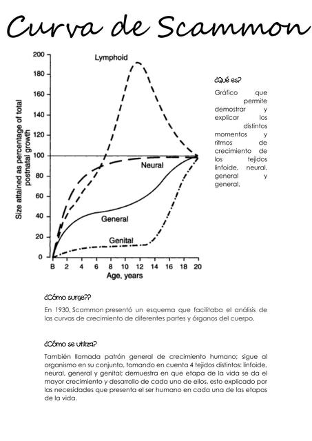 Curva de Scammon | Katy González | uDocz