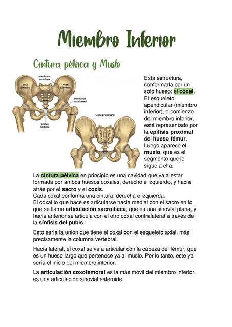 Miembro Inferior | BYB Hemo | uDocz