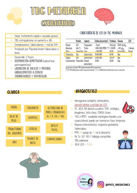 TBC Meningea | Medicine_pic | uDocz