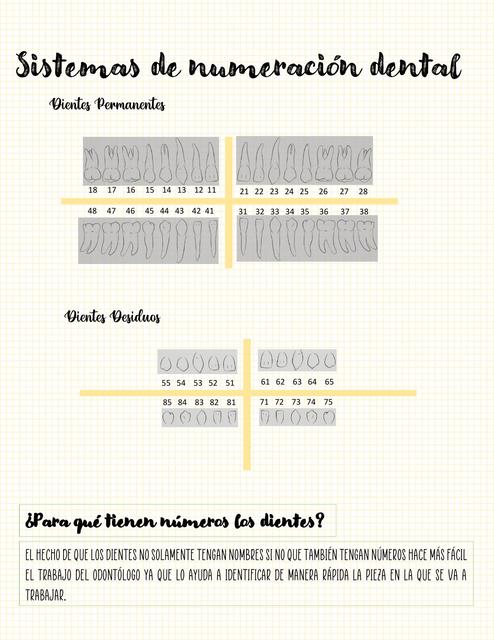 Sistemas de Numeración Dental | Dientes | Dental | uDocz