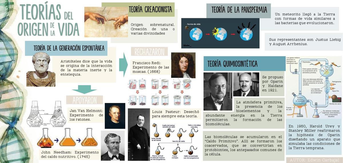 Infografía del Origen de la Vida | EDWIN GABRIEL CARBAJAL CASTRO | uDocz