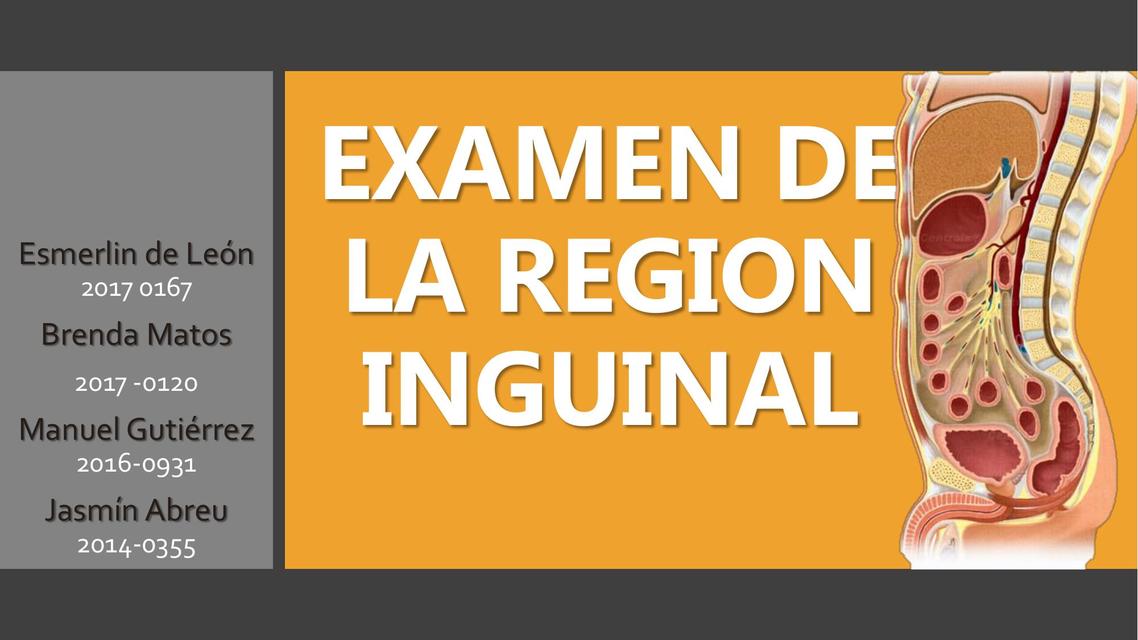 Examen de la Región Inguinal | Breenstudy | uDocz