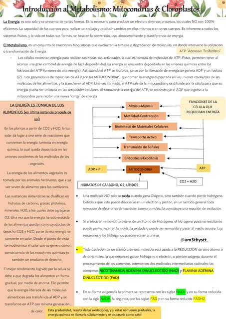 2do Parcial Biologia UBA XXI | @am3thystt_ | uDocz