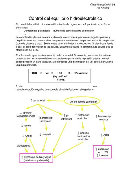 Control del equilibrio hidroelectrolítico | Pía Ferraris | uDocz