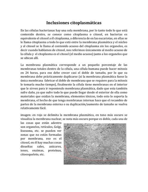 Inclusiones Citoplasmáticas | Chiqui Rojita | uDocz