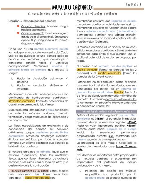 El Corazón como Bomba y la Función de las Válvulas Cardiacas | AG | uDocz