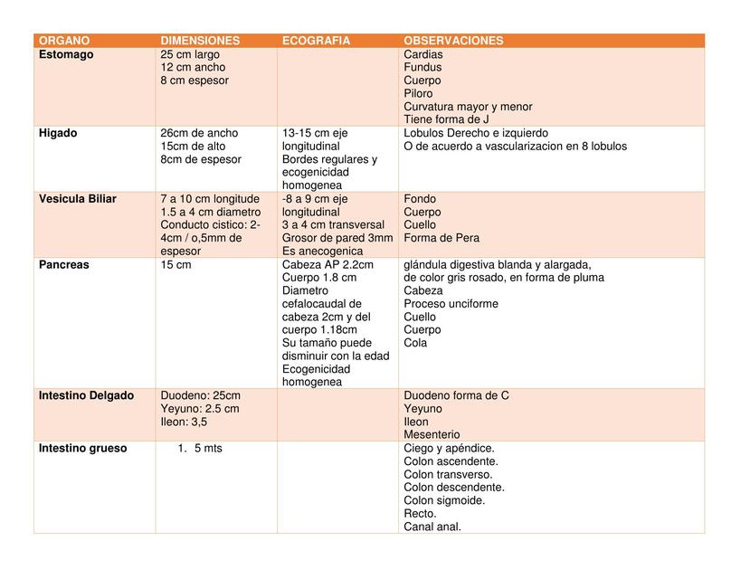 Ecografía | Inguer Tola Apaza | uDocz