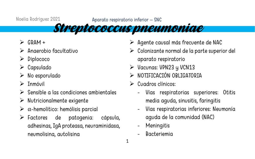 Generalidades de Bacterias | Noelia | uDocz