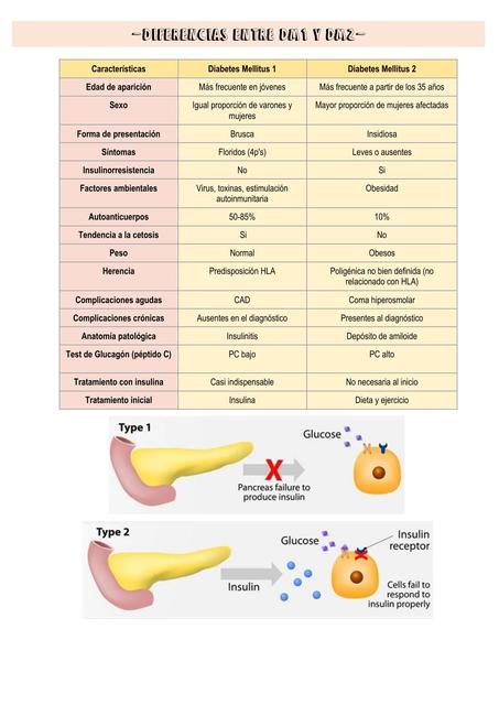 Diferencias de Diabetes Tipo 1 y 2 | GNTC | uDocz Diferencias de Diabetes Tipo 1 y 2 | GNTC | uDocz