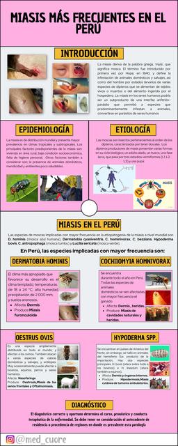 Miasis más frecuentes en el Perú | Med Cuore | uDocz
