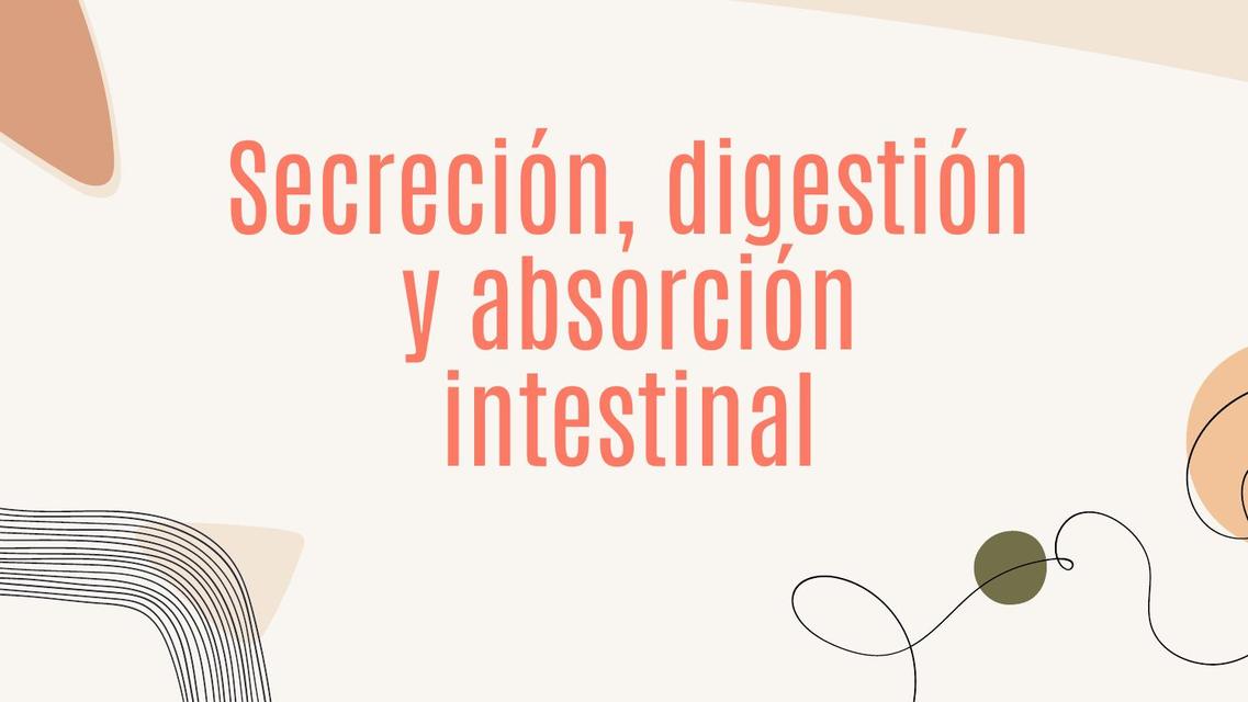 Secreción digestión y absorción intestinal | Imed_ apuntes | uDocz