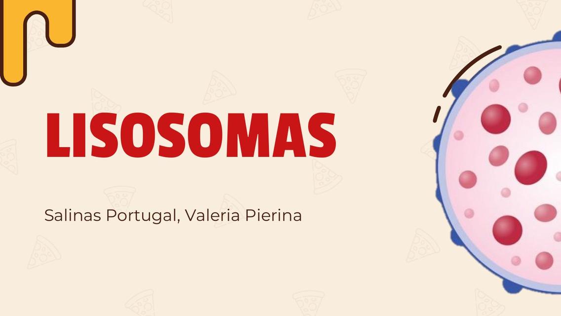 Lisosomas | Valeria Salinas Portugal | uDocz