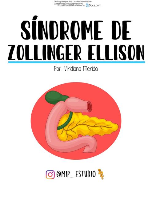 Zollinger Ellison Sindrome