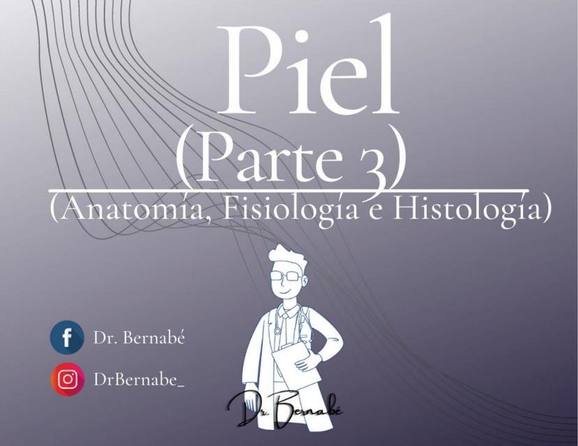 Piel 3 (Anatomía Fisiología e Histología) | Dr. Bernabé | uDocz