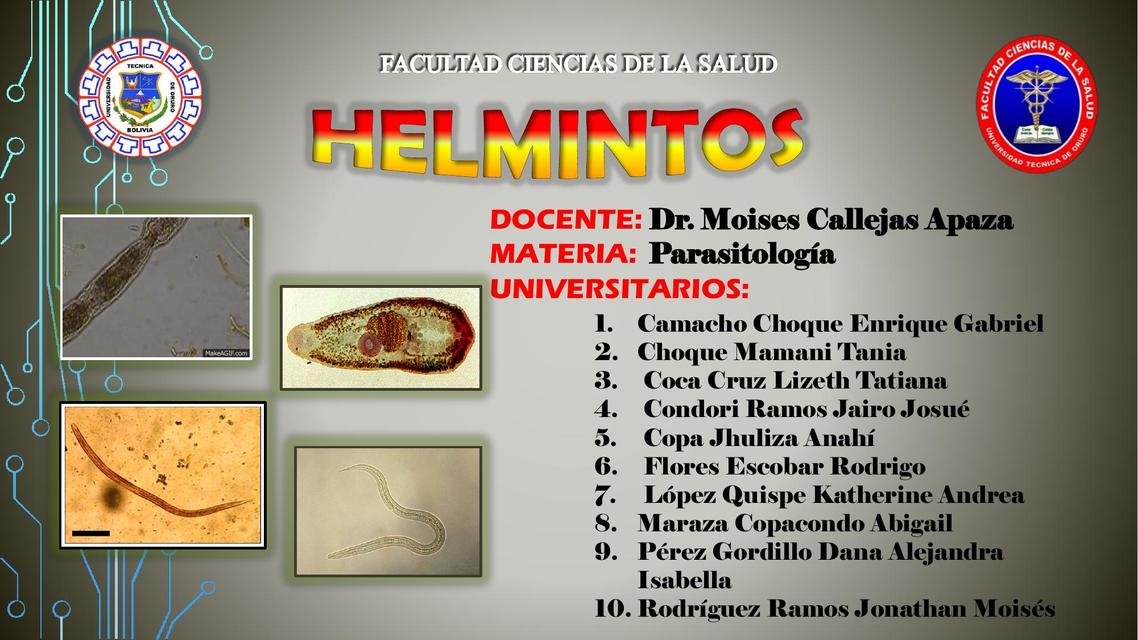 Generalidades de la Helmintología | TANIA CHOQUE MAMANI | uDocz