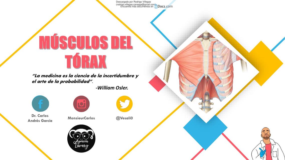 Músculos del Tórax | Rodrigo Villegas | uDocz