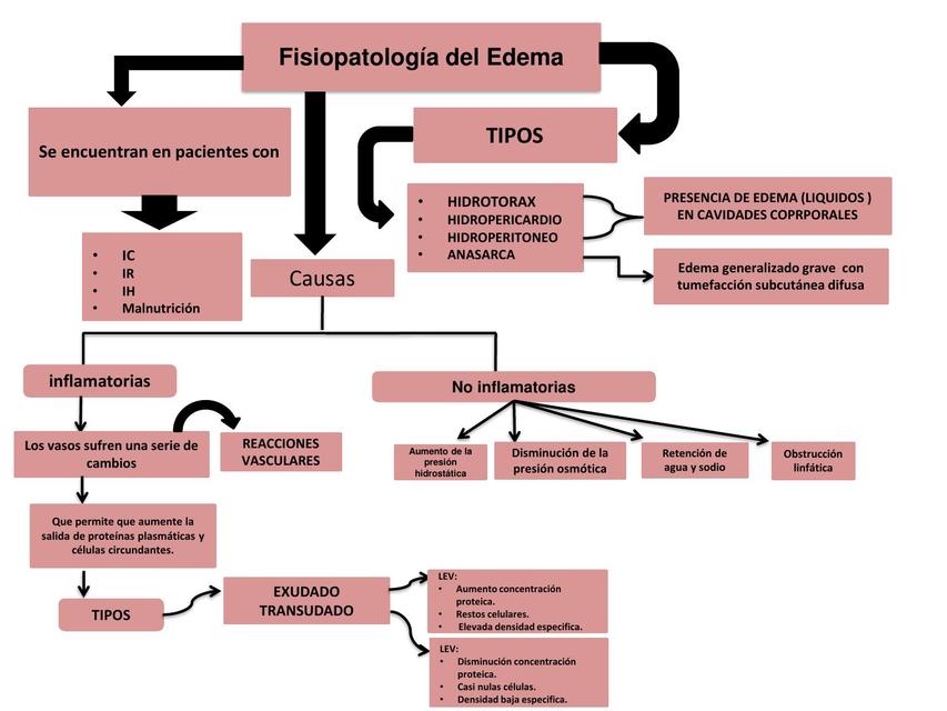 Mapa Conceptual Edema Clasificacion De Los Edemas Edema Edema | The ... Mapa Conceptual Edema Clasificacion De Los Edemas Edema Edema | The ...