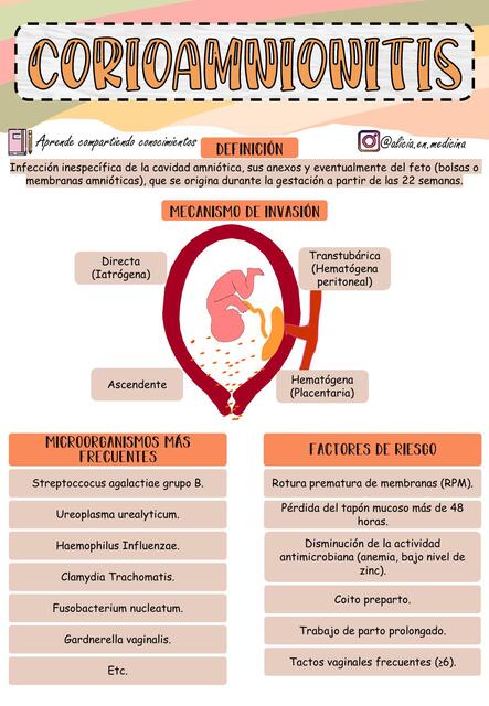 Resúmenes de Corioamnionitis | Descarga apuntes de Corioamnionitis
