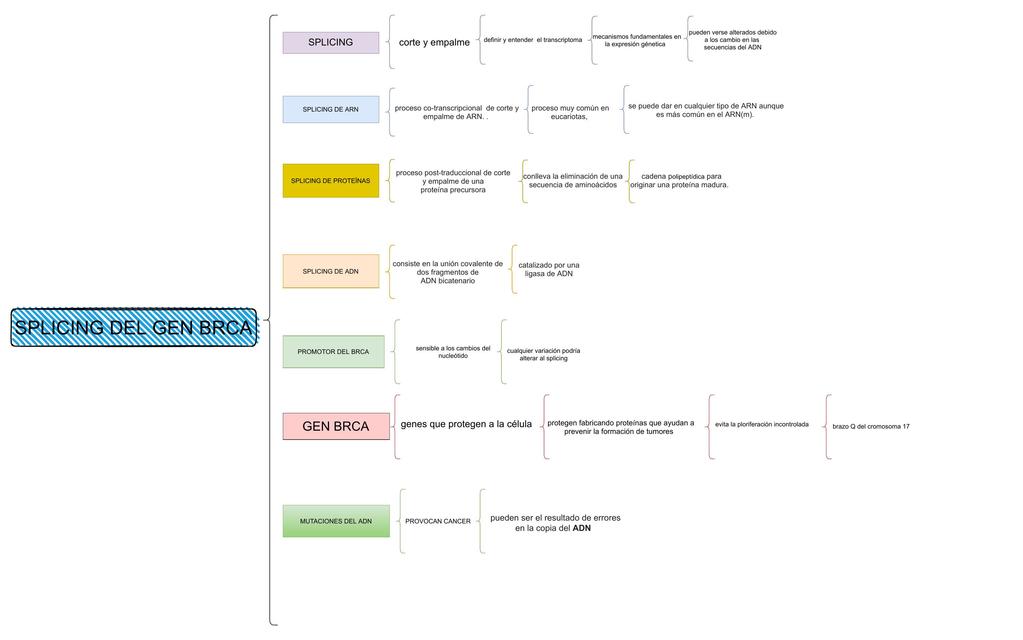Transcripción del ADN | ashley gallardo | uDocz