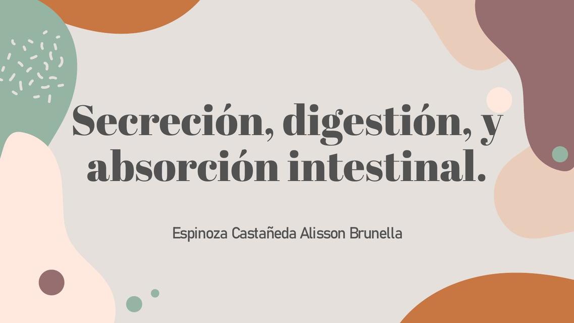 Secreción Digestión y Absorción Intestinal | Alisson1108 | uDocz