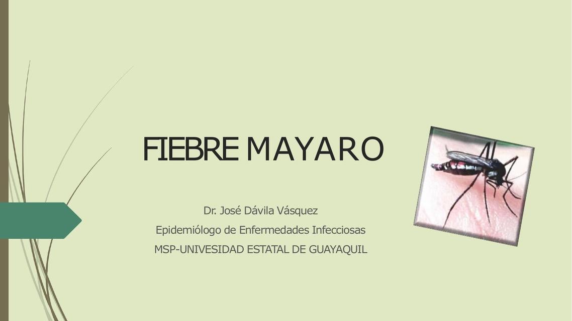 Fiebre Mayaro | Daniel Zabaleta | uDocz