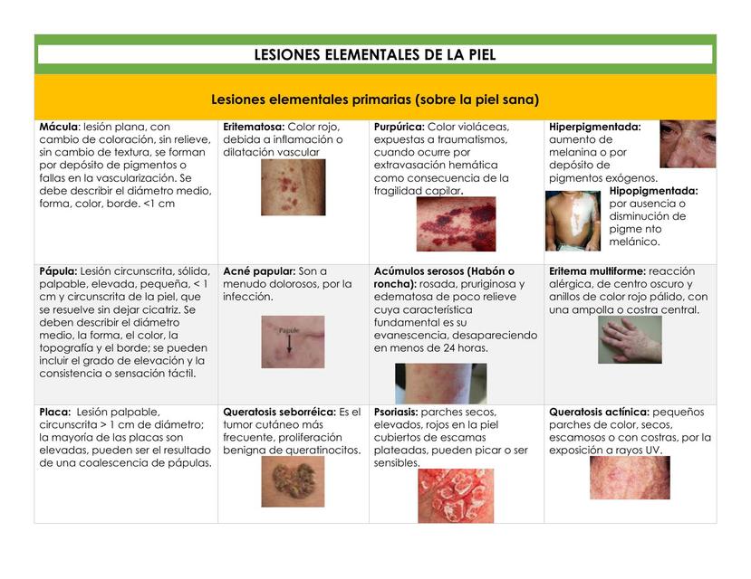 Lesiones Elementales de la Piel | Lorena Daga | uDocz