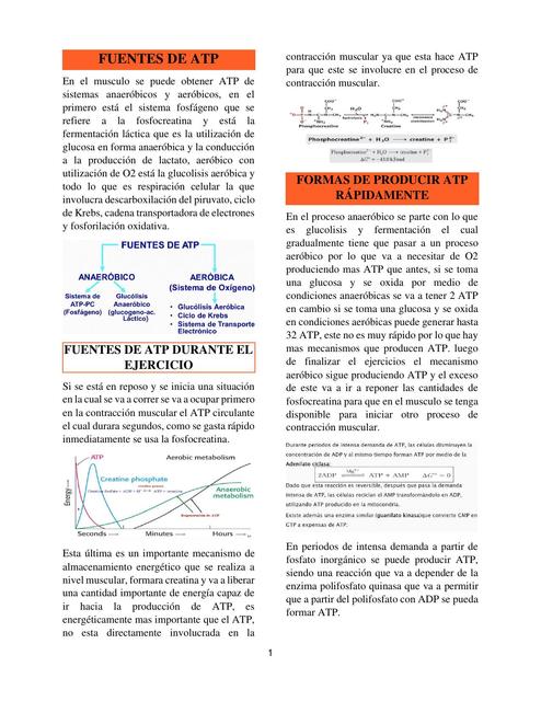 Fuentes de ATP | Chiqui Rojita | uDocz