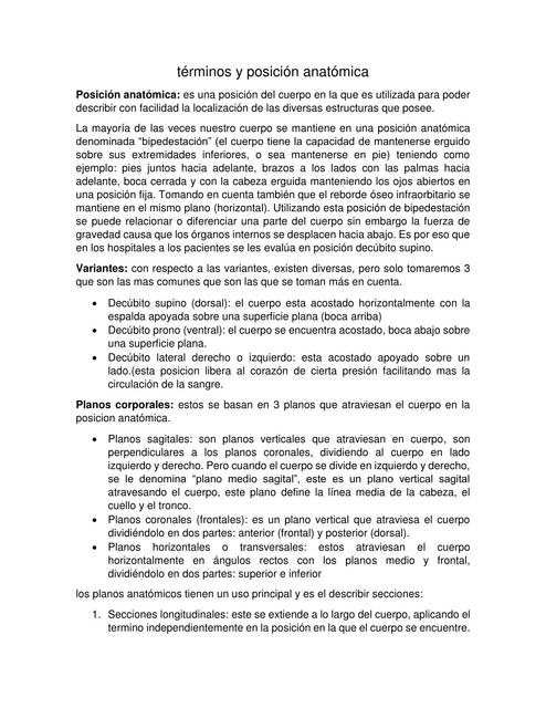 Términos y Posición Anatómica | Jennifer Stephanie Flores Zelaya | uDocz