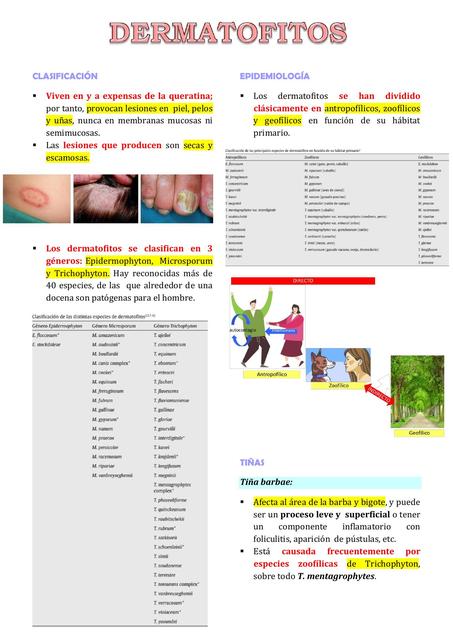 Dermatofitos | Leslie Carhuaz | uDocz
