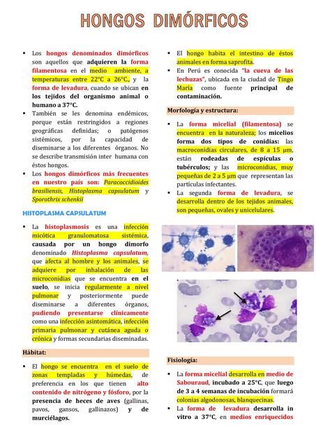 Hongos Dimórficos | Leslie Carhuaz | uDocz