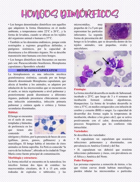 Hongos dimórficos | Alisson1108 | uDocz
