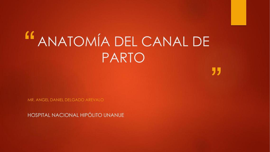 Anatomía Del Canal Del Parto Arevalod Ad Udocz
