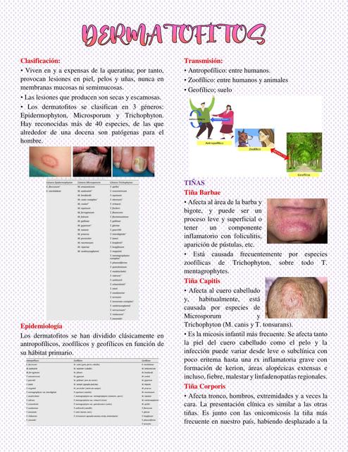 Dermatofitos | Alisson1108 | uDocz