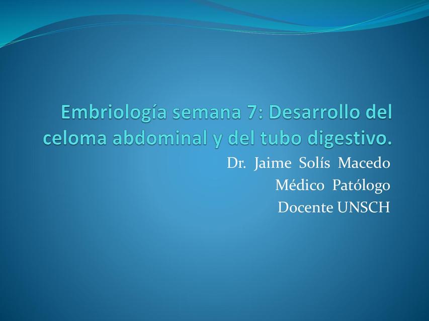 Desarrollo del Celoma Abdominal y del Tubo Digestivo | shadow | uDocz