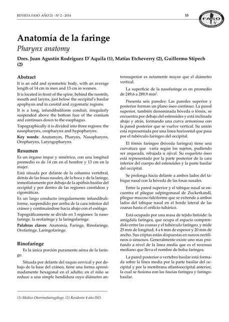 Anatomía de la Faringe | Reycel Lapierre Poblete | uDocz
