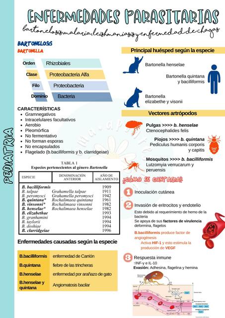 Enfermedades Parasitarias | Vannia Rodríguez Martínez | uDocz