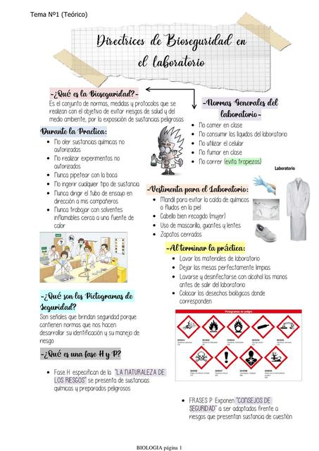 Directrices de Bioseguridad en el Laboratorio | Alejandra Sernaque ...