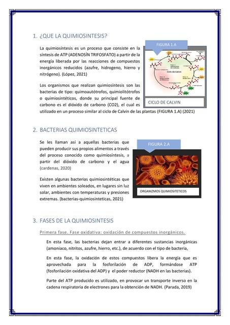 Qué el la Quimiosíntesis | C.S Ana lucia | uDocz