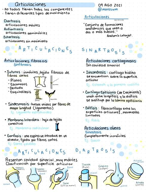 Flashcards de Articulaciones | Por Fer Yan Márquez | uDocz