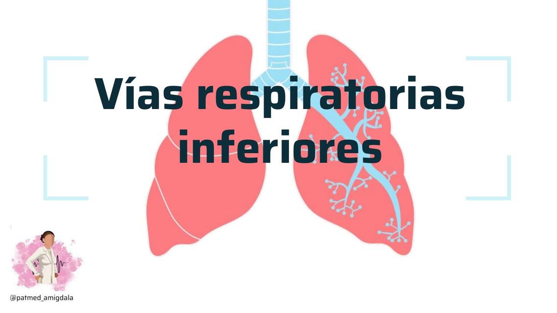 Vías Respiratorias Inferiores | PATMED AMIGDALA | uDocz