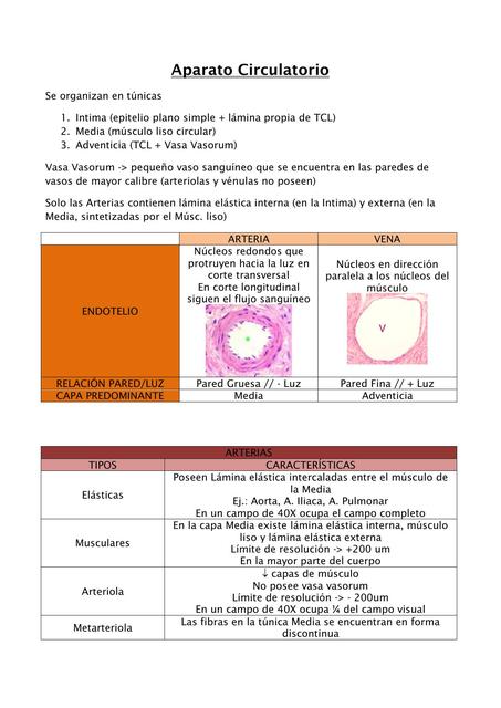Aparato Circulatorio | uDocz creators | uDocz