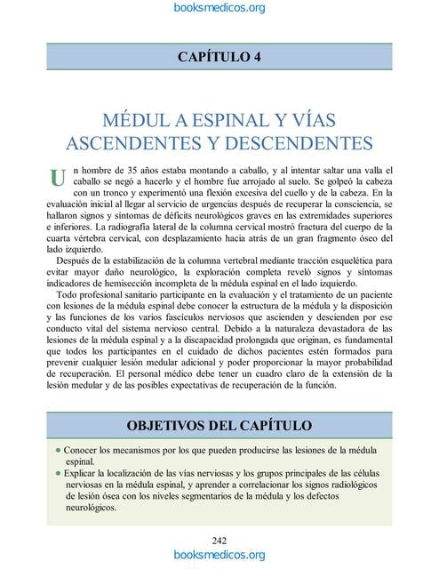 Médula Espinal y Vías Ascendentes y Descendentes | Trini Pizzano | uDocz